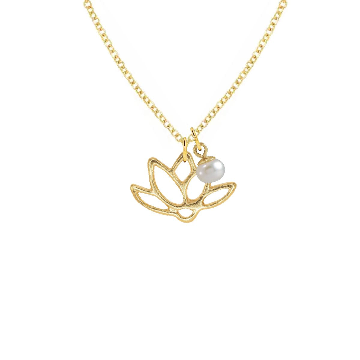 Robyn Canady Studio x The White Lotus